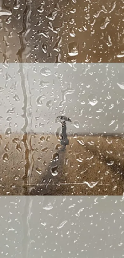 Raindrop Perspective Wallpaper - free download