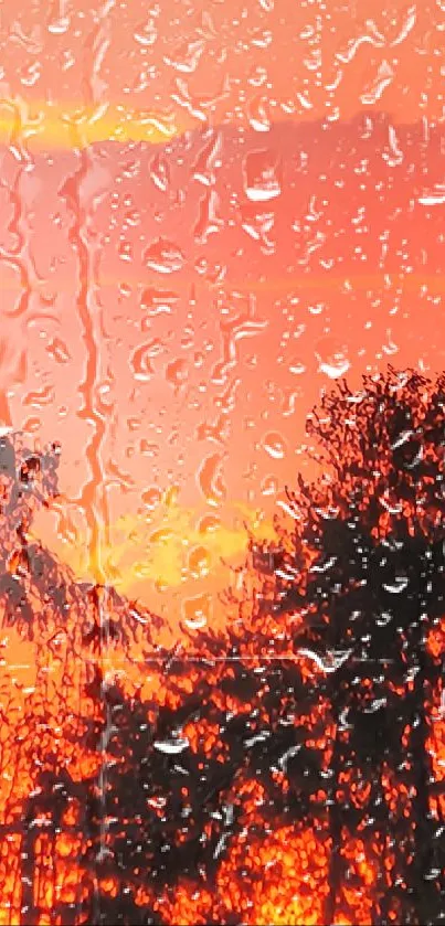 Rainy Sunset Mobile Wallpaper - free download