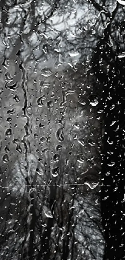 Rainy Window Reflection Wallpaper - free download