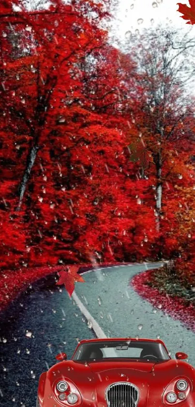 Scenic Autumn Drive Wallpaper - free download