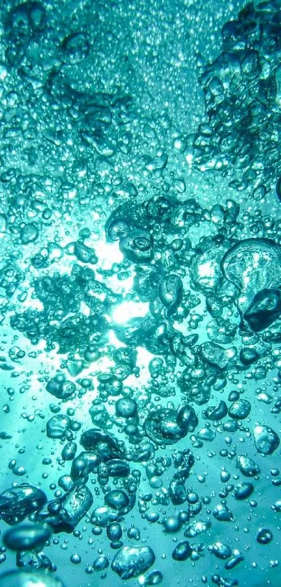 Refreshing Aqua Bubble Wallpaper - free download