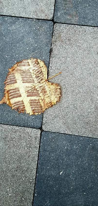 Pattern Live Wallpaper - free download