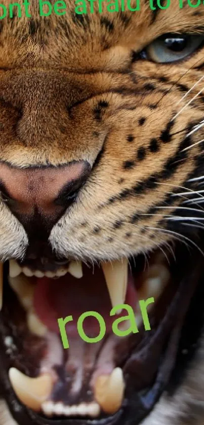 Roaring Leopard Mobile Wallpaper - free download