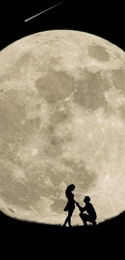 Romantic Moonlight Proposal - free download