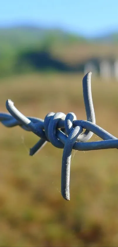 Rustic Barbed Wire Focus - free download
