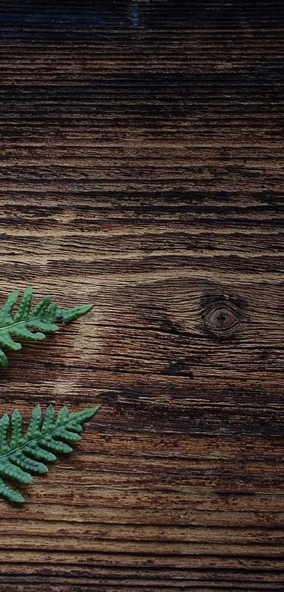 Rustic Wooden Leaf Wallpaper - free download