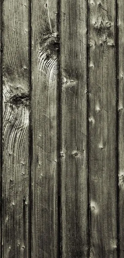Rustic Wooden Panel Wallpaper - free download