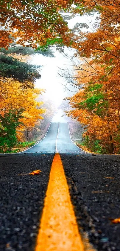 Scenic Autumn Road Wallpaper - free download