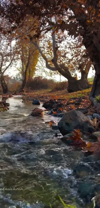Scenic Autumn Stream View - free download