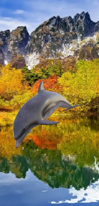 Scenic Dolphin Landscape Wallpaper - free download
