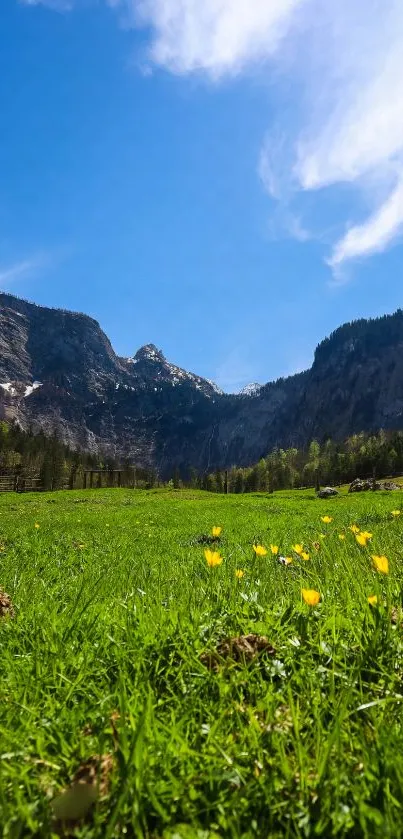 Scenic Mountain Meadow View - free download