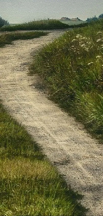 Scenic Pathway Mobile Wallpaper - free download