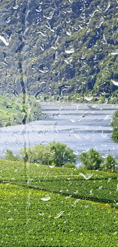 Scenic River Valley View - free download