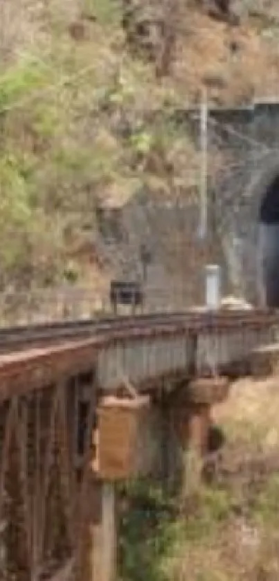 Scenic Tunnel Rail Path - free download