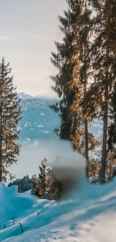 Scenic Winter Mountain View - free download