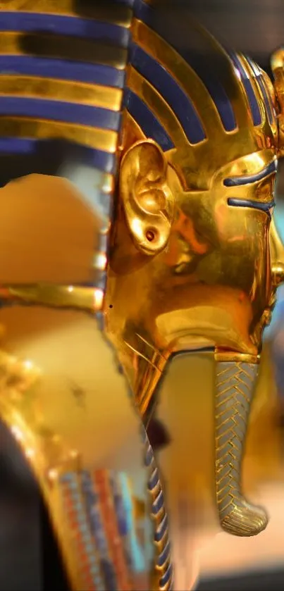 privet Live Wallpaper - free download