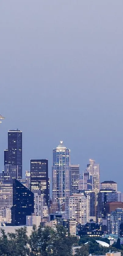 Seattle Skyline Evening View - free download
