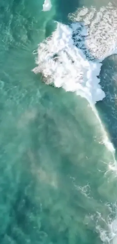 Serene Aerial Ocean View Wallpaper - free download
