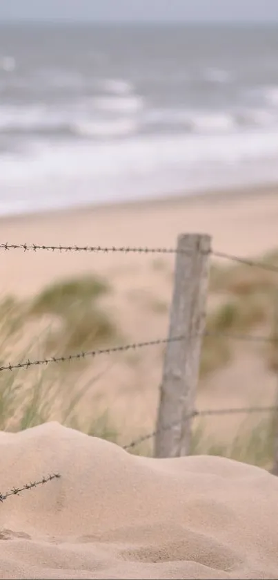 Serene Beach Dunes View - free download