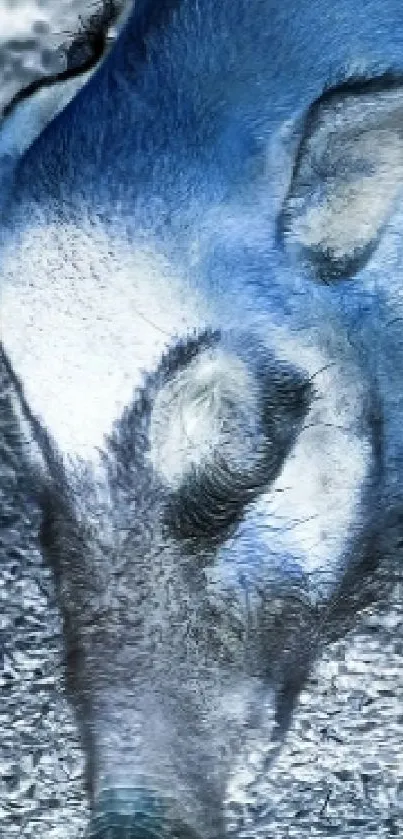 Serene Blue Hog Wallpaper - free download