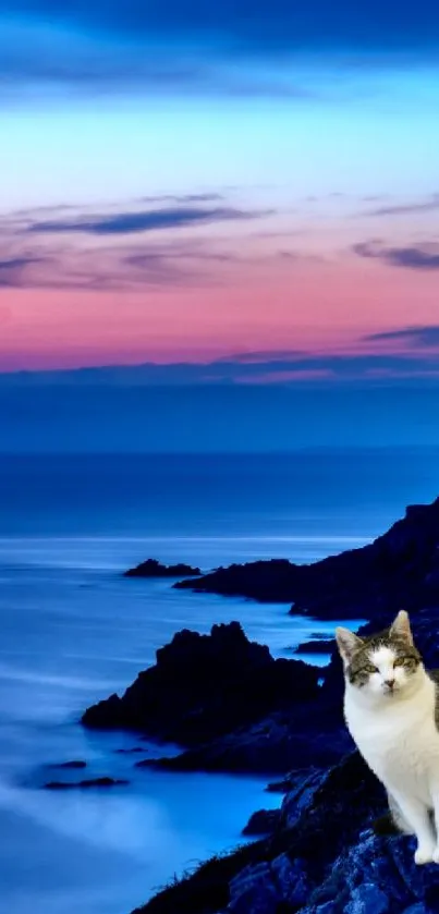 Serene Coastal Cat Wallpaper - free download