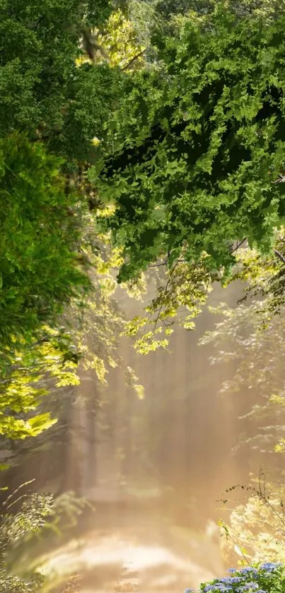 Serene Forest Sunlight Wallpaper - free download