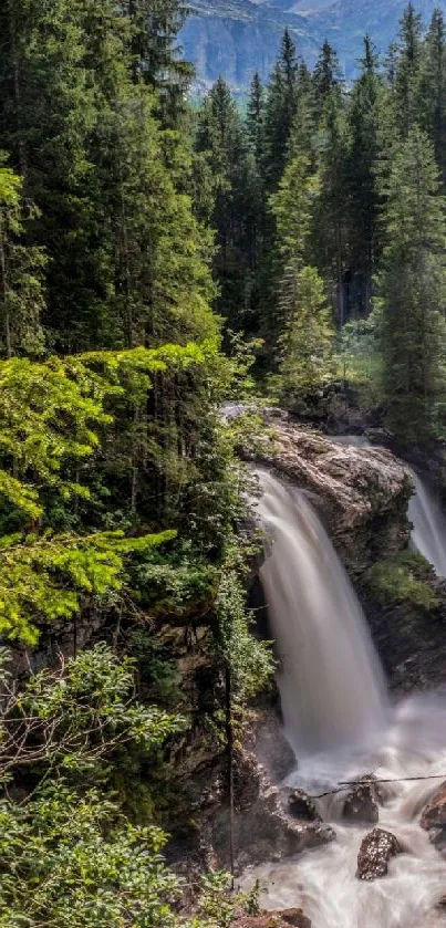 Serene Forest Waterfall View - free download