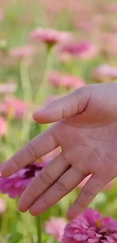 Serene Hand in Flower Field - free download
