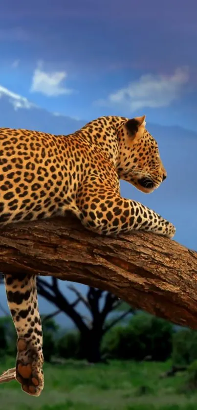 Serene Leopard on Tree - free download