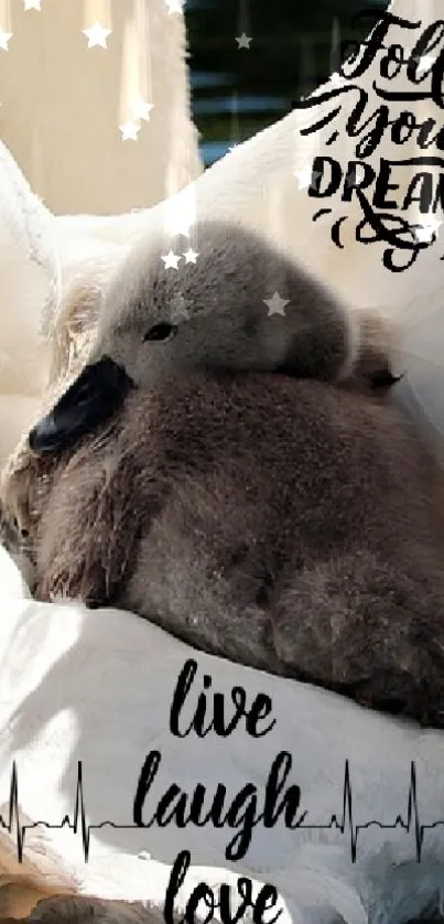 Serene Swan with Cygnets - free download