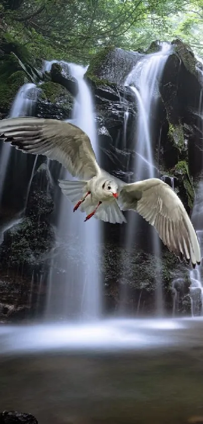Serene Waterfall with Flying Bird - free download