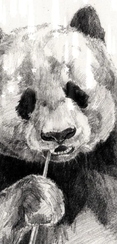 Sketch of a Panda Wall Art - free download