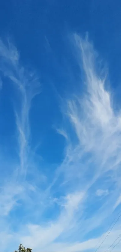 The great advance Live Wallpaper - free download