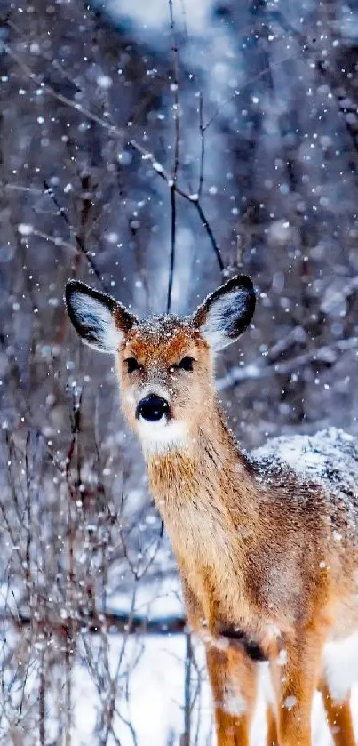 Snowy Forest Deer Wallpaper - free download