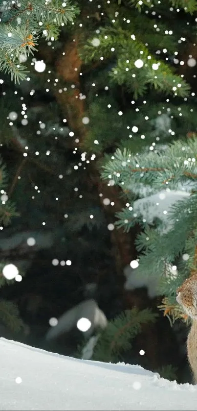 Snowy Forest Rabbit Wallpaper - free download