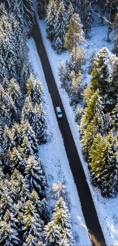 Snowy Forest Road Aerial View - free download