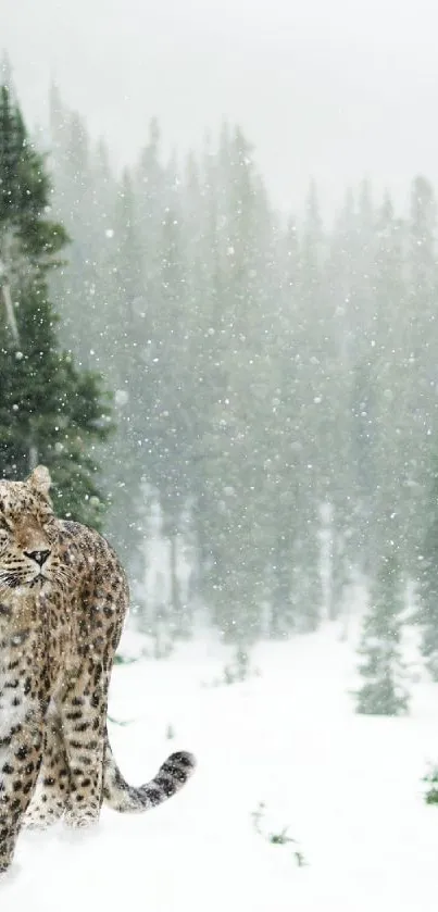 Snowy Leopard Winter Scene - free download