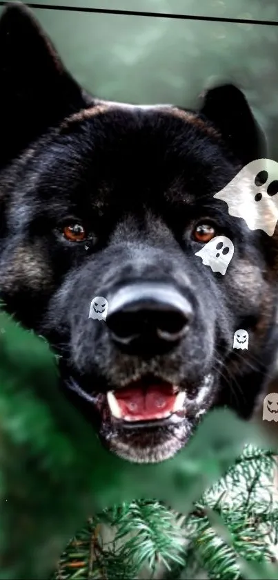 Spooky Dog Forest Wallpaper - free download