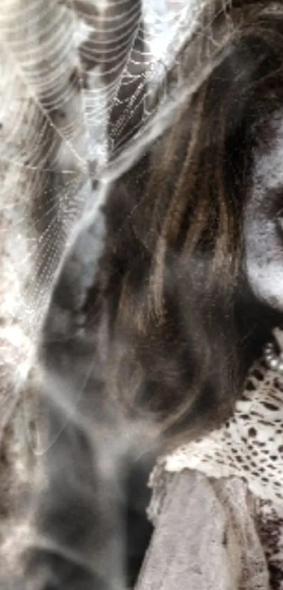 Spooky Doll and Cobweb Wallpaper - free download