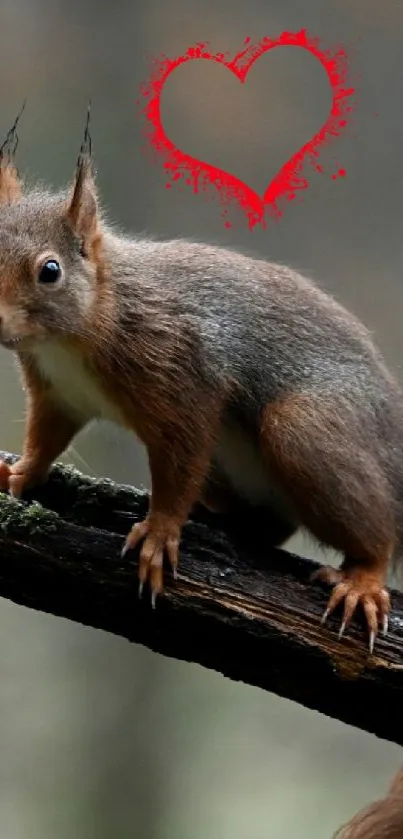 Squirrel with Heart Wallpaper - free download