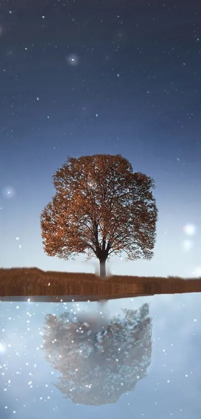 Starry Night Tree Reflection - free download