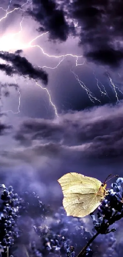 Stormy Night with Butterfly - free download