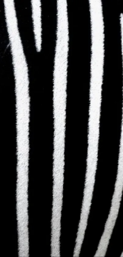 Striking Zebra Stripes Wallpaper - free download