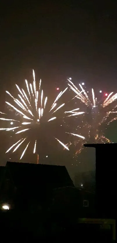 Night Sky Fireworks Display - free download