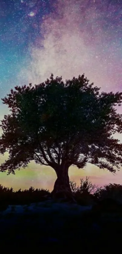 Stunning Night Sky Tree - free download