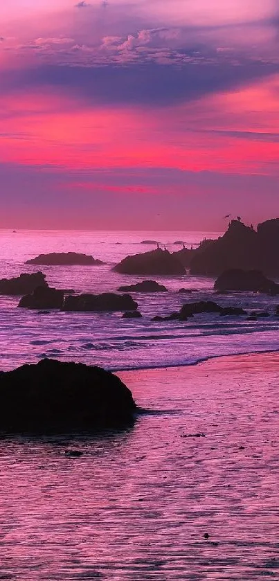 Stunning Pink Ocean Sunset - free download