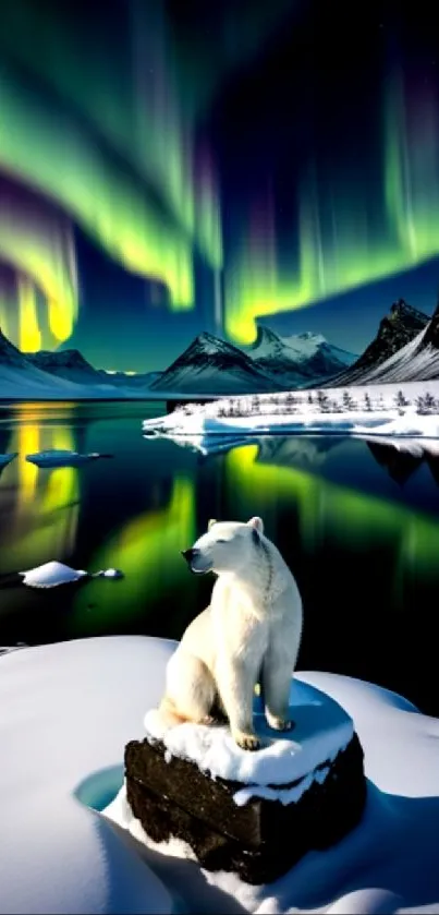 Stunning Polar Aurora Wallpaper - free download