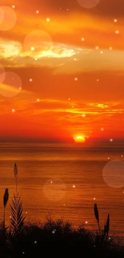 Stunning Sunset Beach Wallpaper - free download