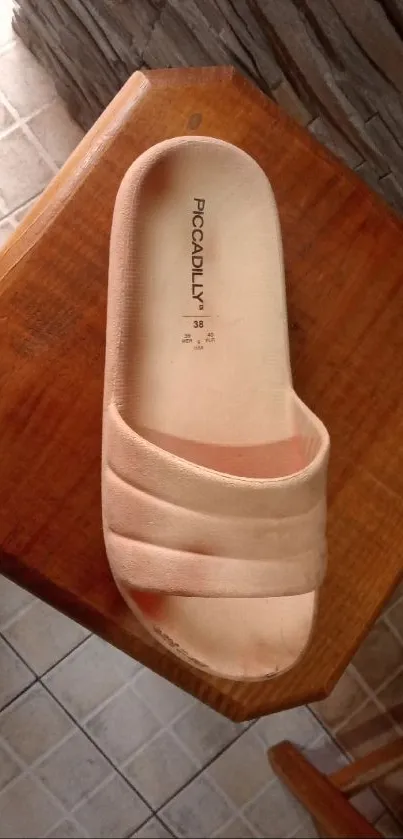 Stylish Beige Slide Sandal - free download