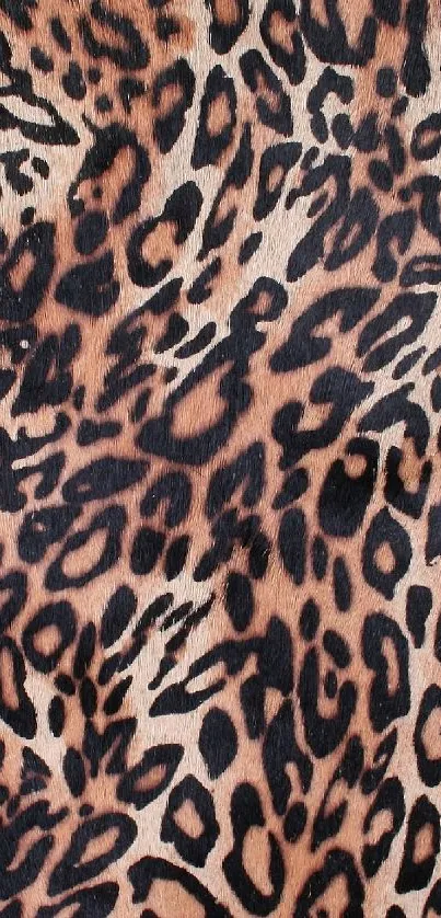 Stylish Leopard Print Background - free download